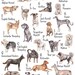 Printable Dogs Alphabet Poster ABC Dogs Breed Watercolor Wall Art ...