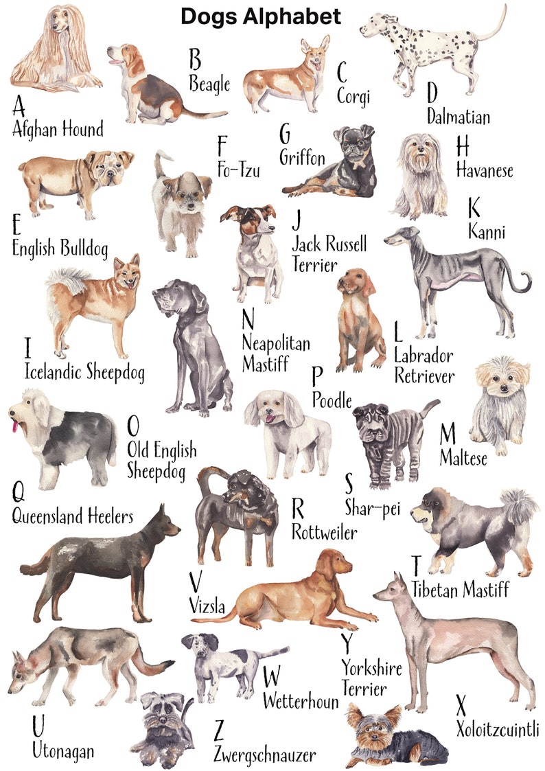 Printable Dogs Alphabet Poster ABC Dogs Breed Watercolor Wall Art ...