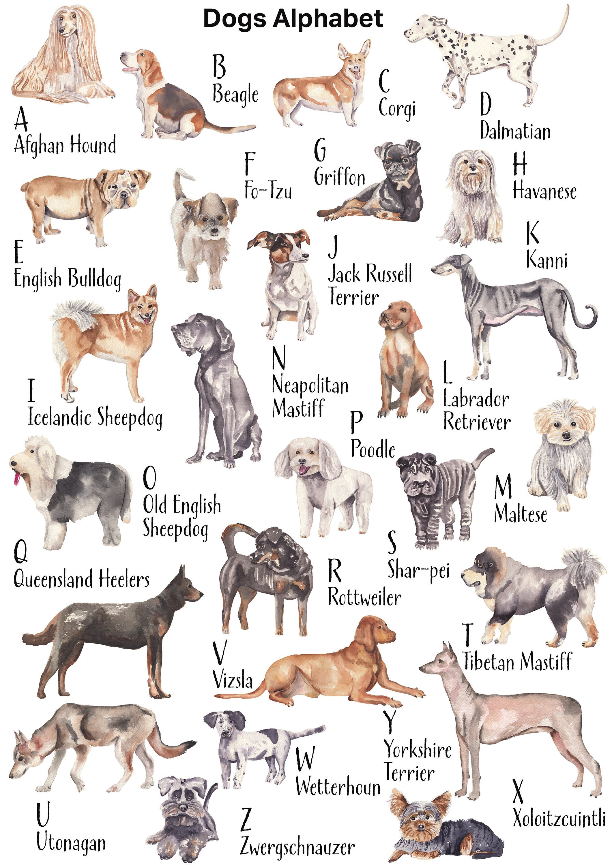 Printable Dogs Alphabet Poster ABC Dogs Breed Watercolor Wall Art ...