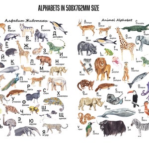 Russian & English Alphabets With Watercolor Animals Educational ...