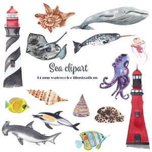 Watercolor Clipart Under the Sea Nautical Ocean Clipart Whale Seashell ...