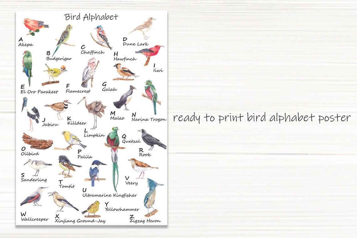 Watercolor Bird Alphabet Printable Abc Poster Nursery Wall Art Play ...