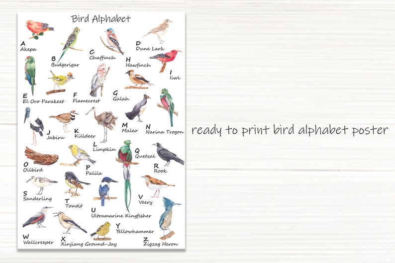 Watercolor Bird Alphabet Printable Abc Poster Nursery Wall Art Play ...