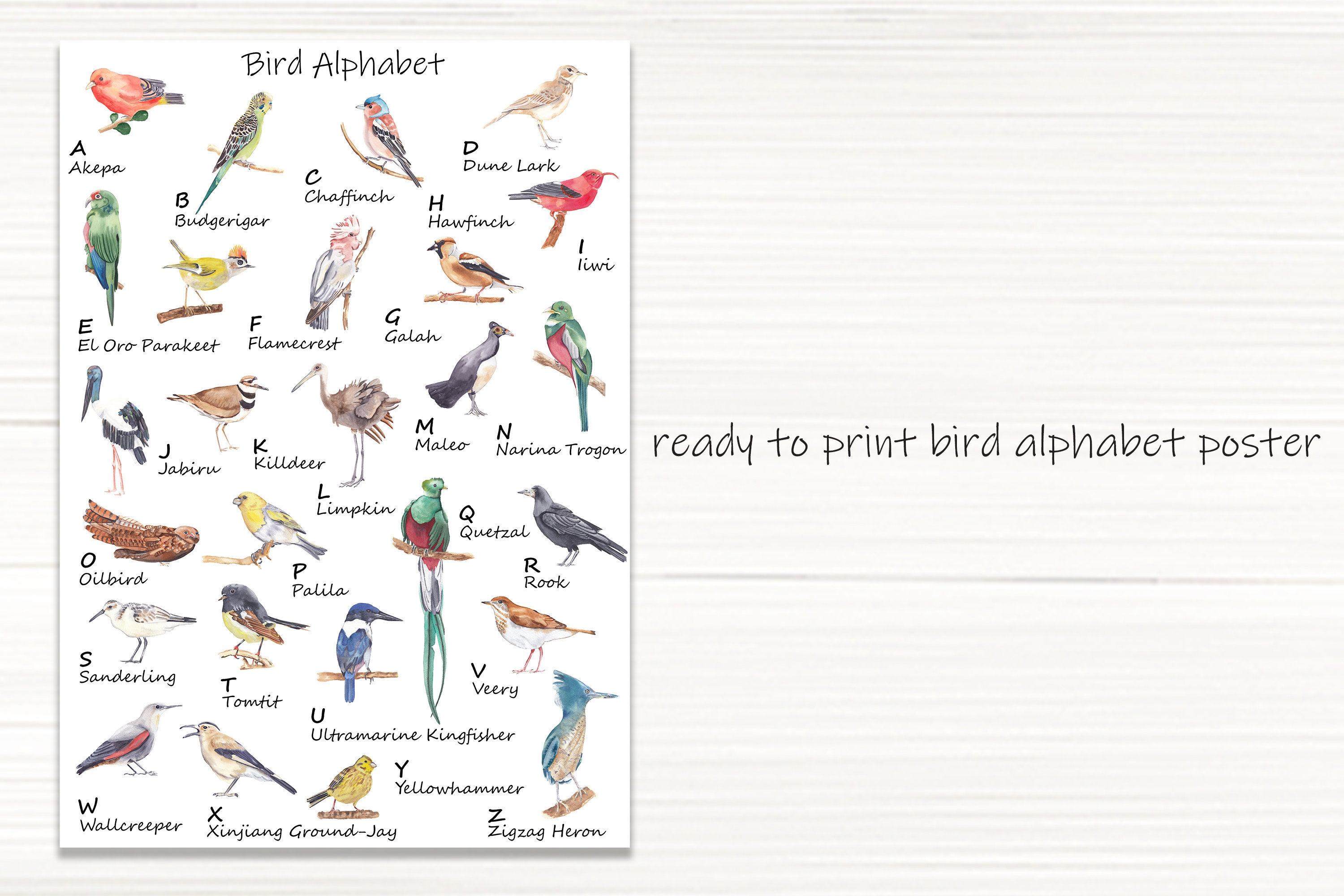 Watercolor Bird Alphabet Printable Abc Poster Nursery Wall Art Play ...