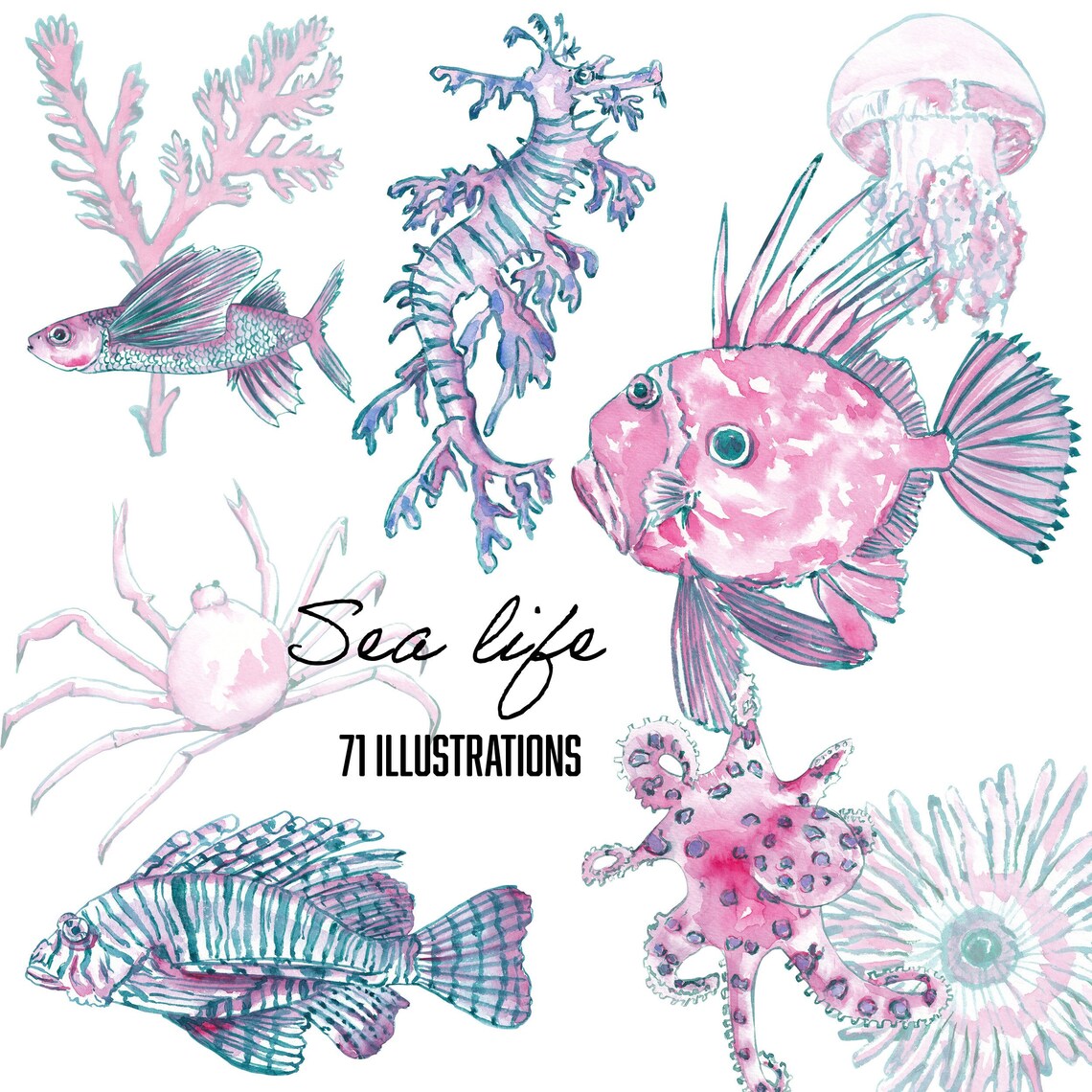Sea Life Watercolor Clipart Ocean Animals Underwater Tropical - Etsy