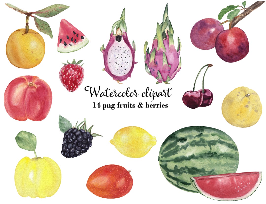 Watercolor Food Clipart Fruits & Berries Watermelon Lemon Cherry ...