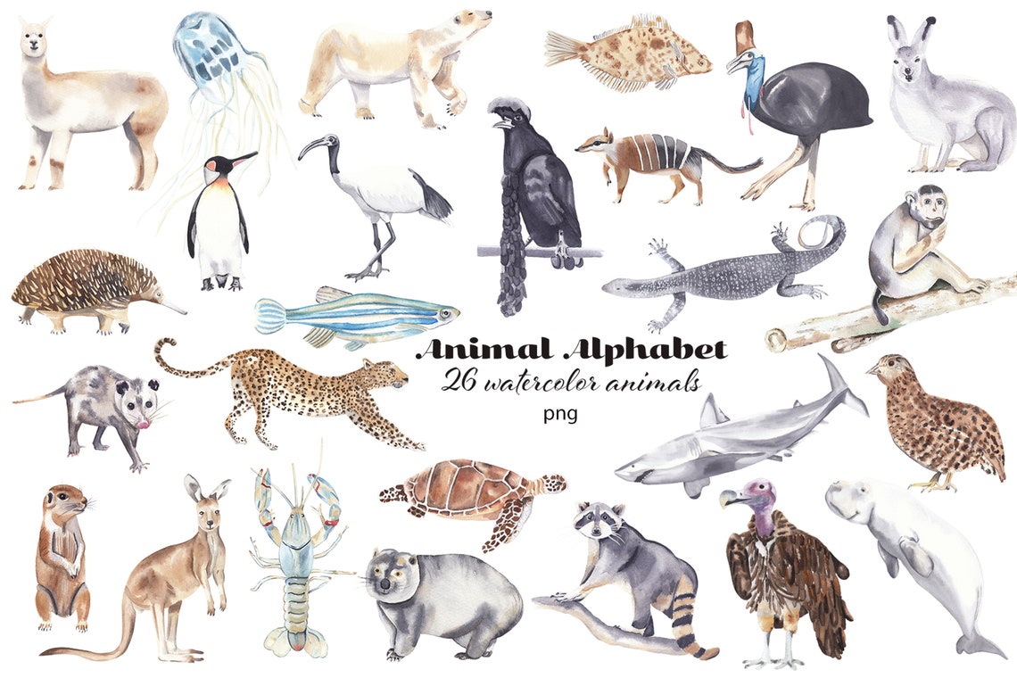 Watercolor Alphabet Animal Clipart Print Nursery Baby Art ABC Safari ...