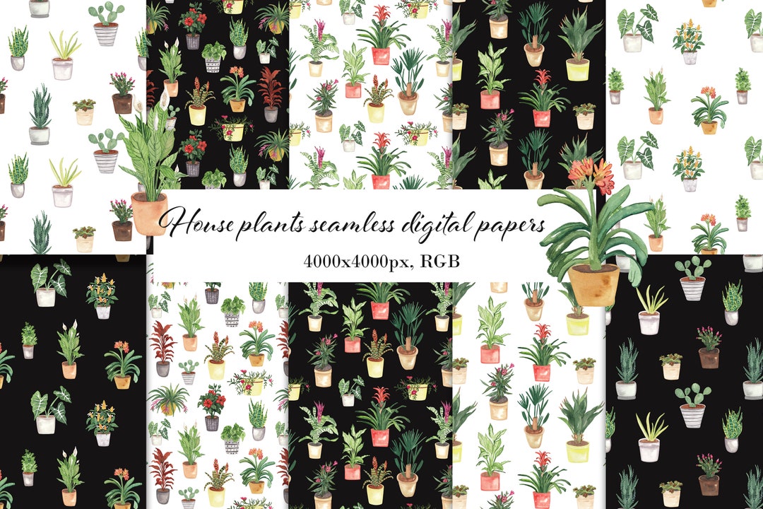House Plants Digital Paper, Potted Plants Seamless Pattern, Cactus ...