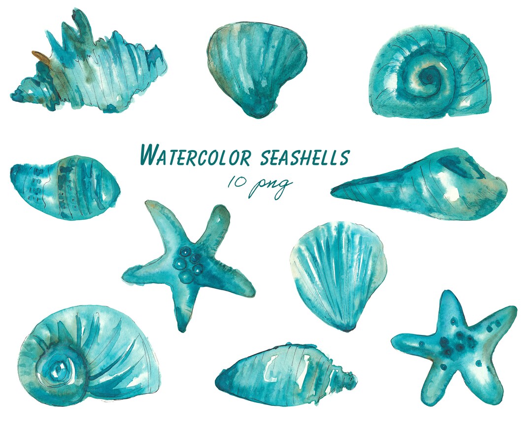 Watercolor Seashells Clipart PNG Digital Instant Download Planner DIY ...