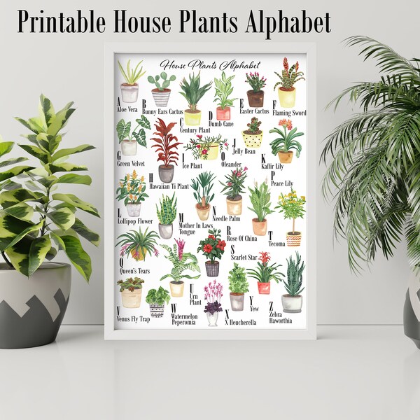 Poster of Abc - Etsy