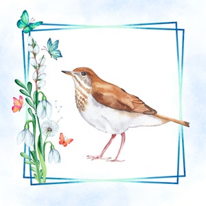 Watercolor Bird Clipart Handpainted Bird 4 Each Letter of English ...