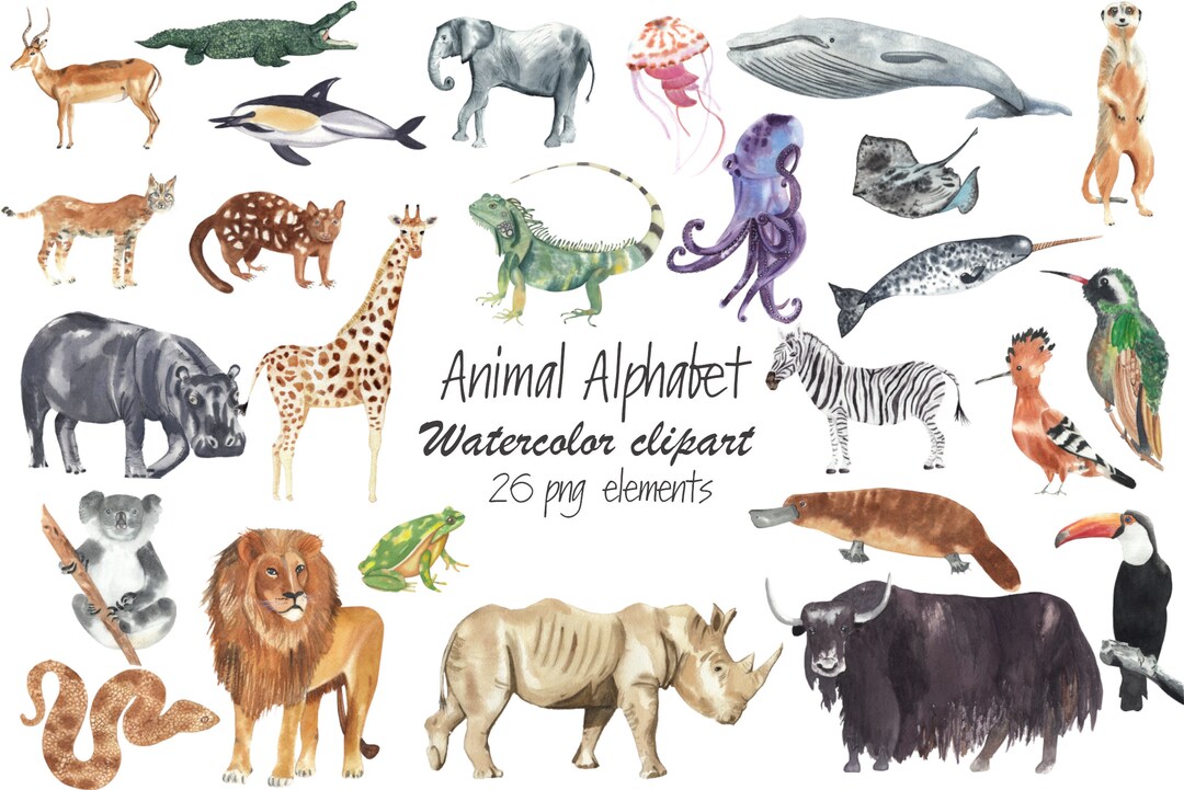 Watercolor Animals Alphabet Clipart Png Printables Nursery Decor ABC ...