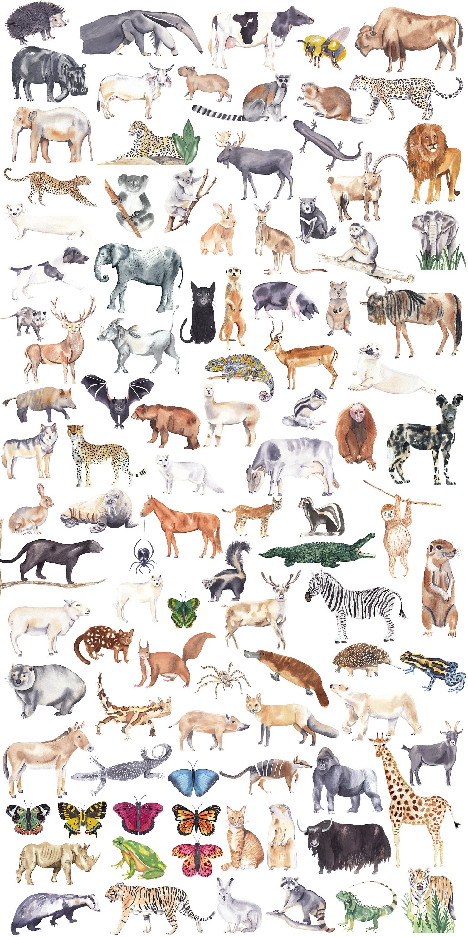 Watercolor Animals Bundle Nursery Animal Clipart Safari Jungle Woodland ...