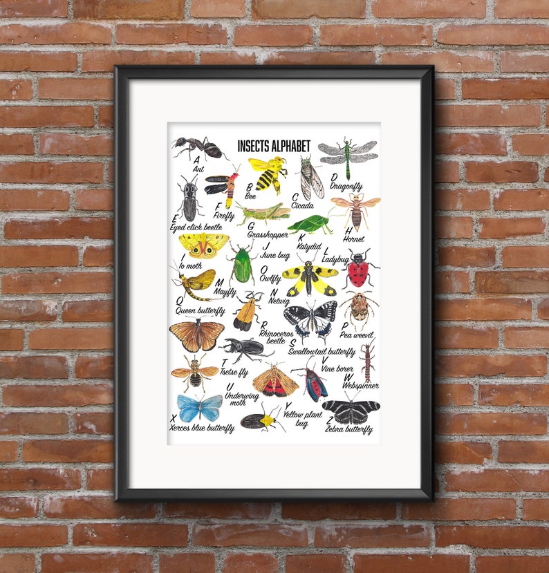 Insects Alphabet Printable ABC Poster With Gouache Bugs - Etsy
