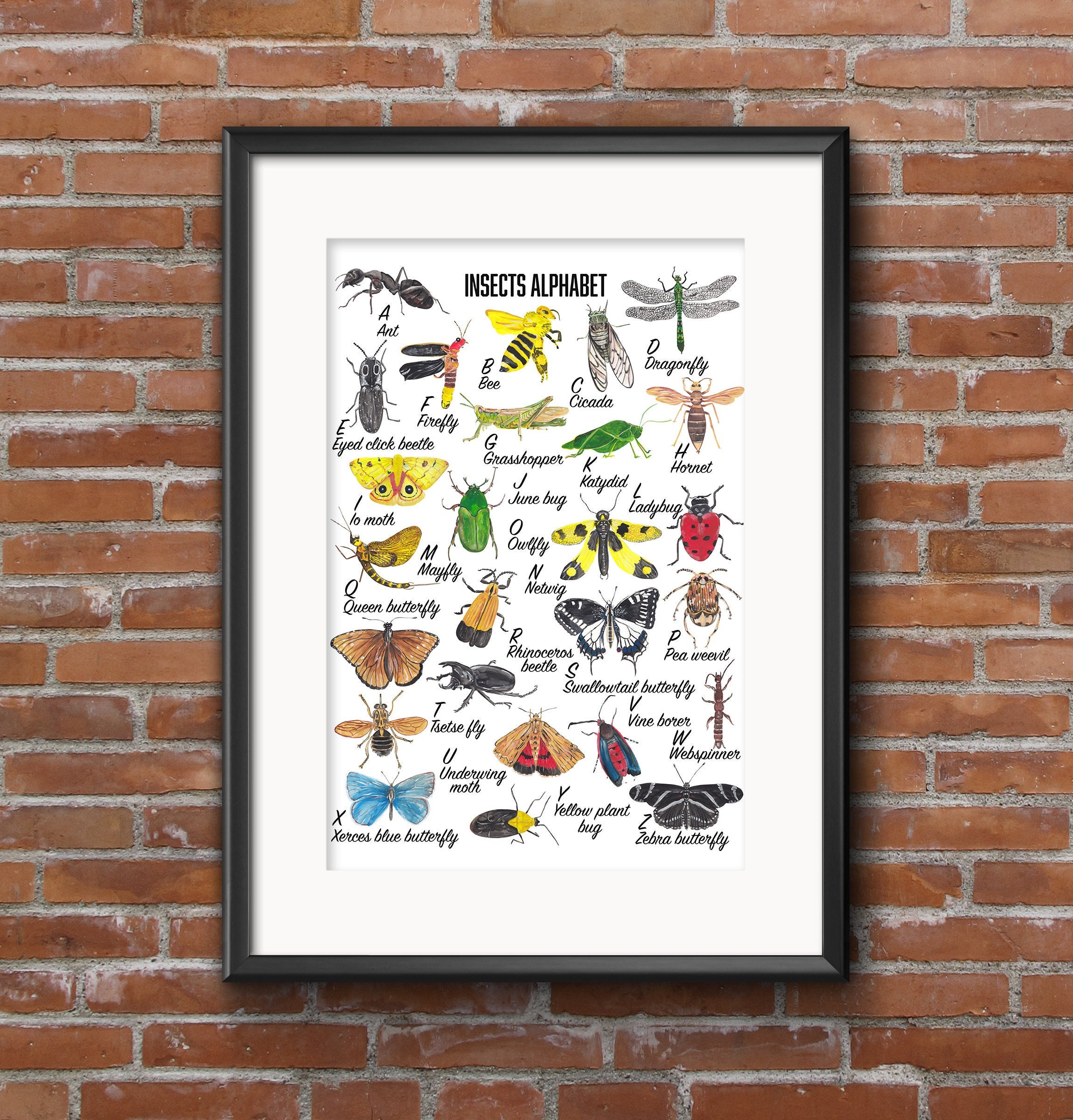 Insects Alphabet Printable ABC Poster With Gouache Bugs, Beetles ...