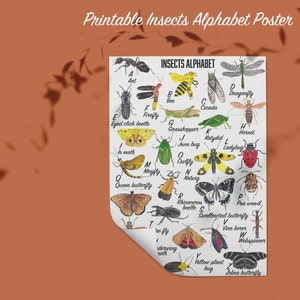 Insects Alphabet Printable ABC Poster With Gouache Bugs - Etsy