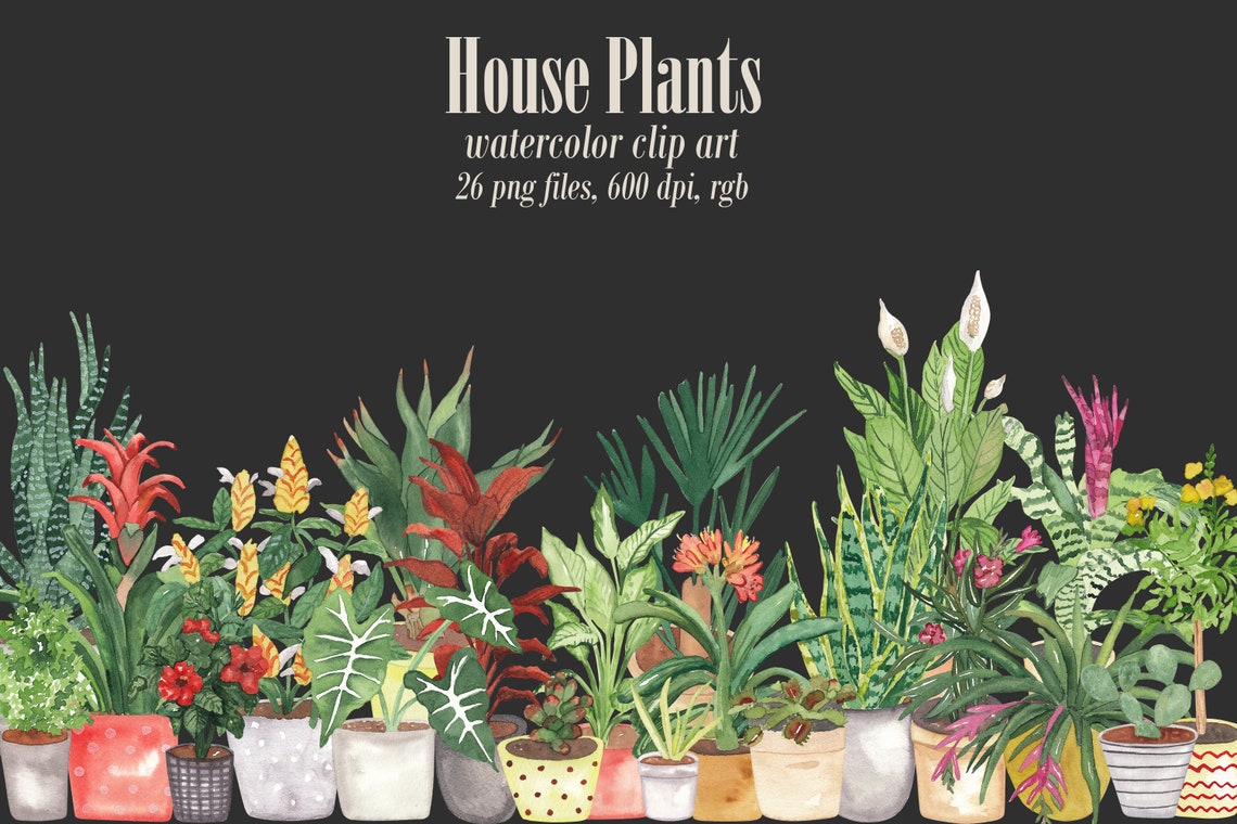 Watercolor House Plants Clipart Indoor Home Potted Plants Png - Etsy