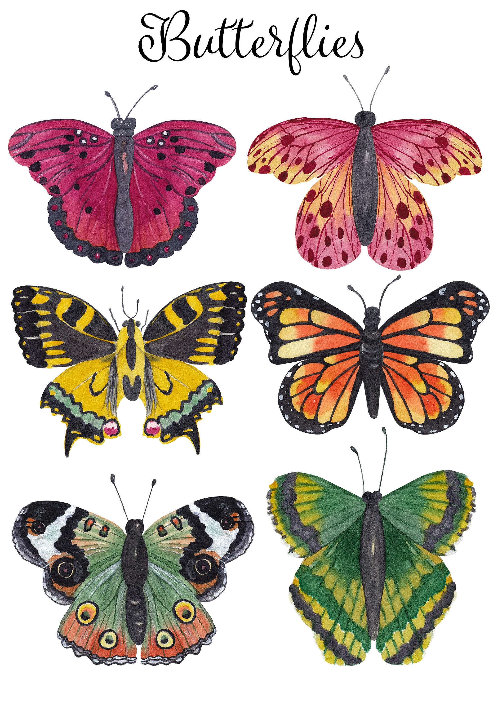 Watercolor Butterfly Clipart 6 Png Colorful Butterflies, Butterfly ...