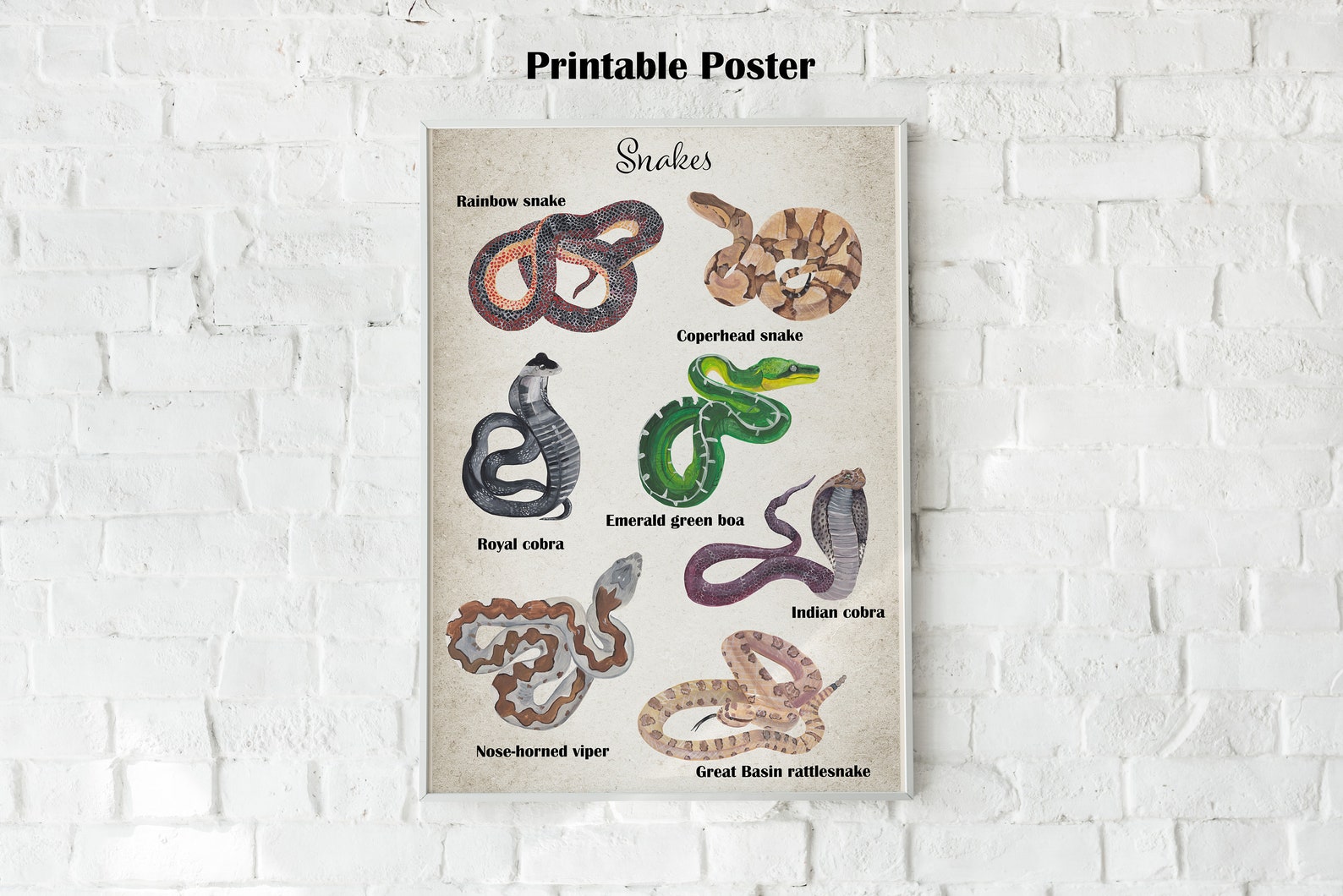 Snake Poster Printable Educational Wall Decor Colorful Gouache ...