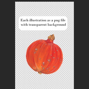 Autumn Clipart Fall Thankgiving Illustrations Gouache Mushrooms ...