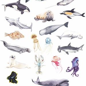 Watercolor Animals Bundle Nursery Animal Clipart Safari Jungle Woodland ...