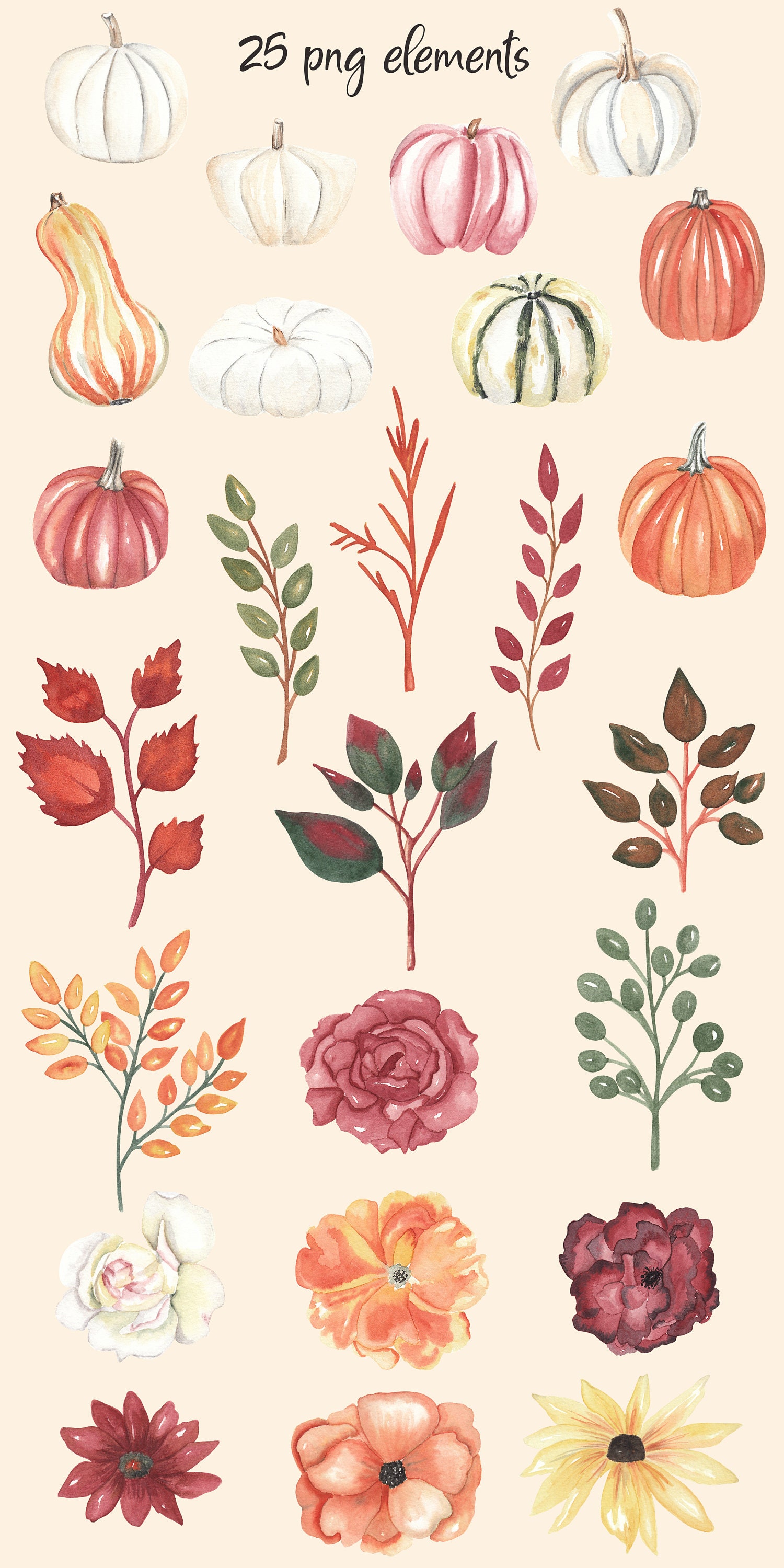 Watercolor Autumn Clipart 25 Png Elements Watercolor Pumpkins - Etsy