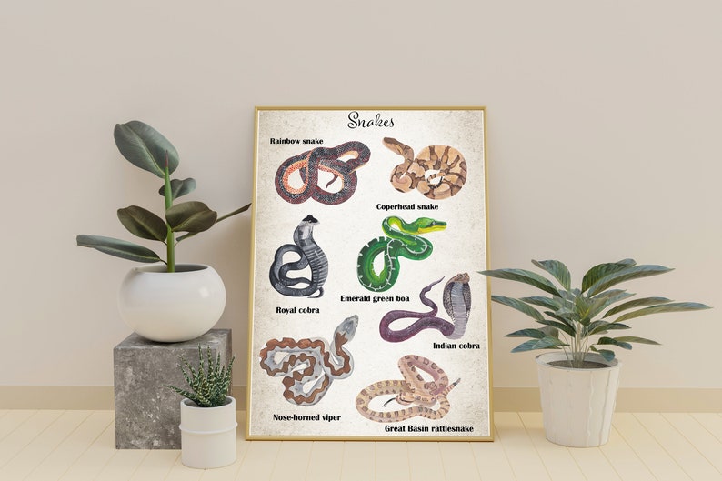 Snake Poster Printable Educational Wall Decor Colorful Gouache ...