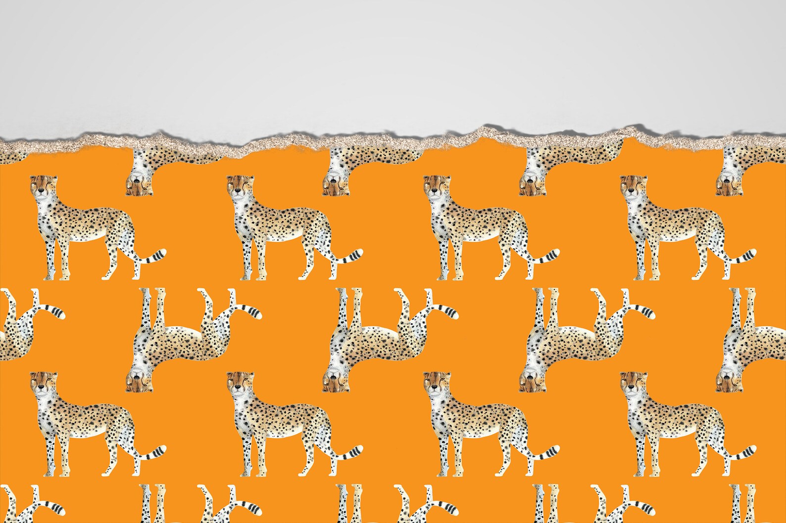 Watercolor Safari Animals Seamless Patterns: Jungle Cats (digital Paper ...