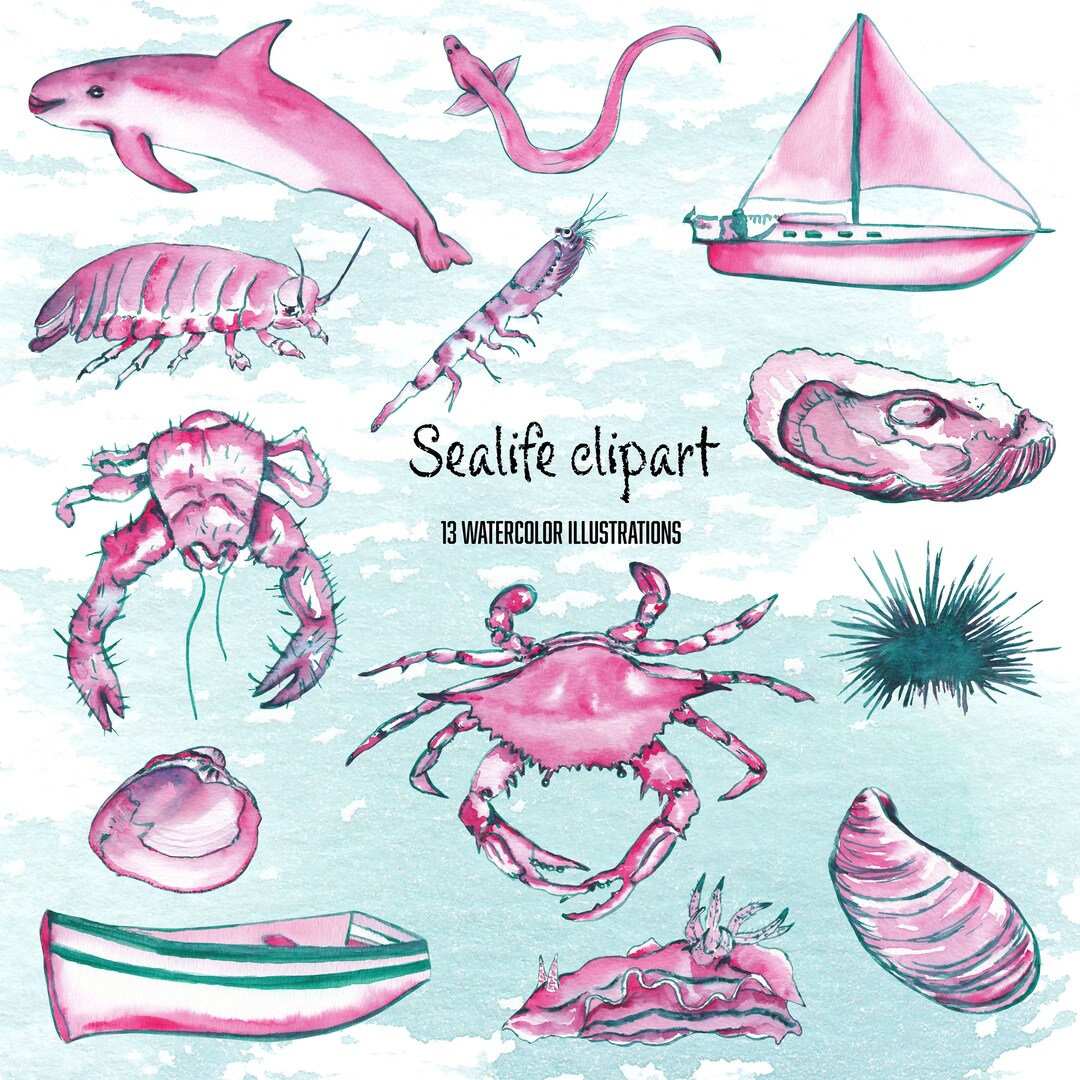 Watercolor Ocean Animals Clipart Sea Life Nautical Marine Illustrations ...