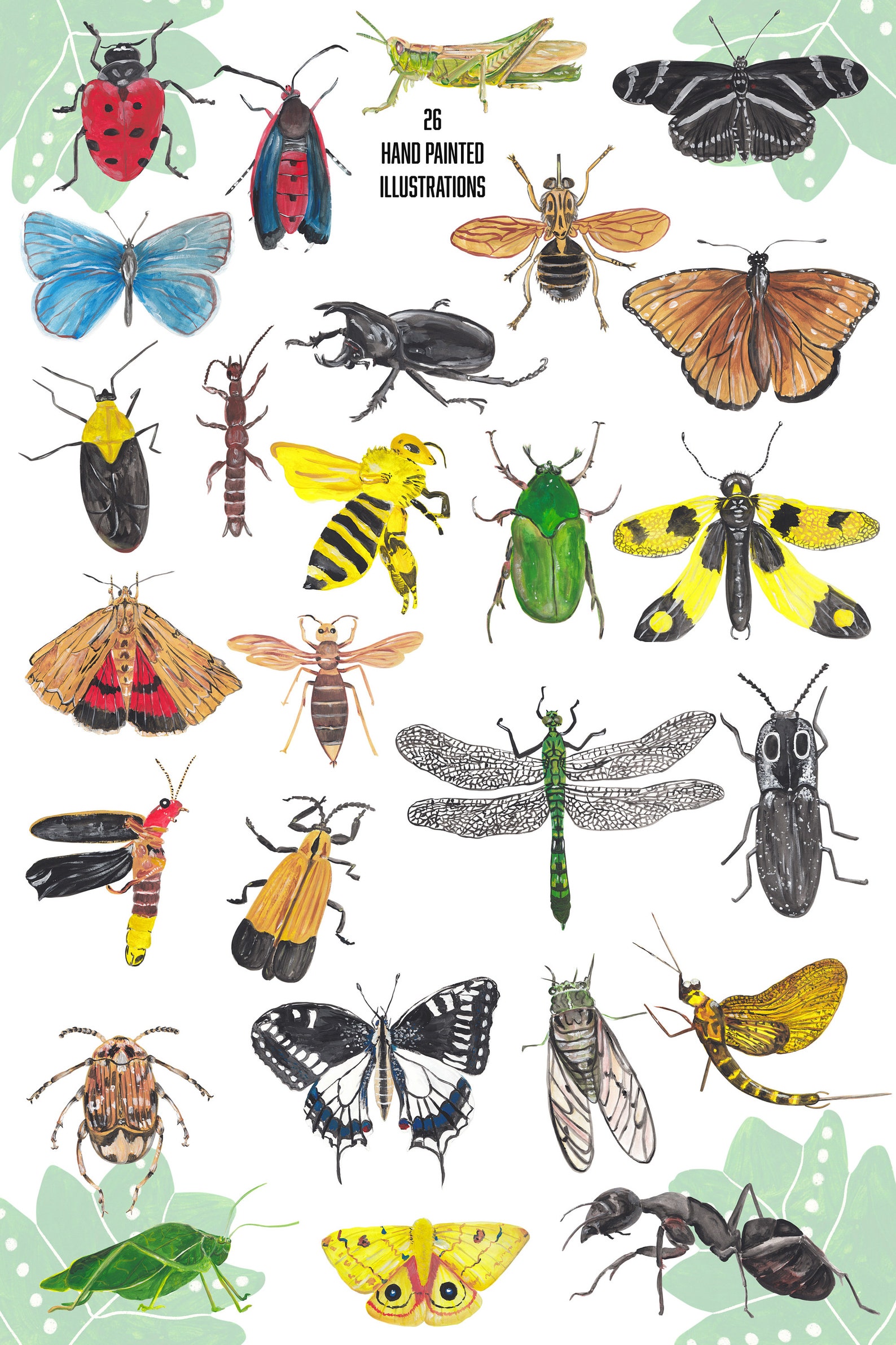 Insects Gouache Illustrations Opaque Watercolor Png Clipart Bug Beetle ...