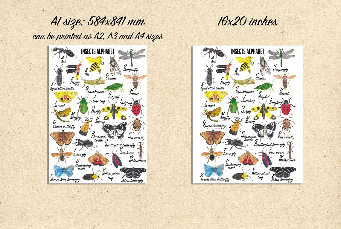 Insects Alphabet Printable ABC Poster With Gouache Bugs, Beetles ...
