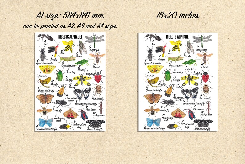Insects Alphabet Printable ABC Poster With Gouache Bugs, Beetles ...