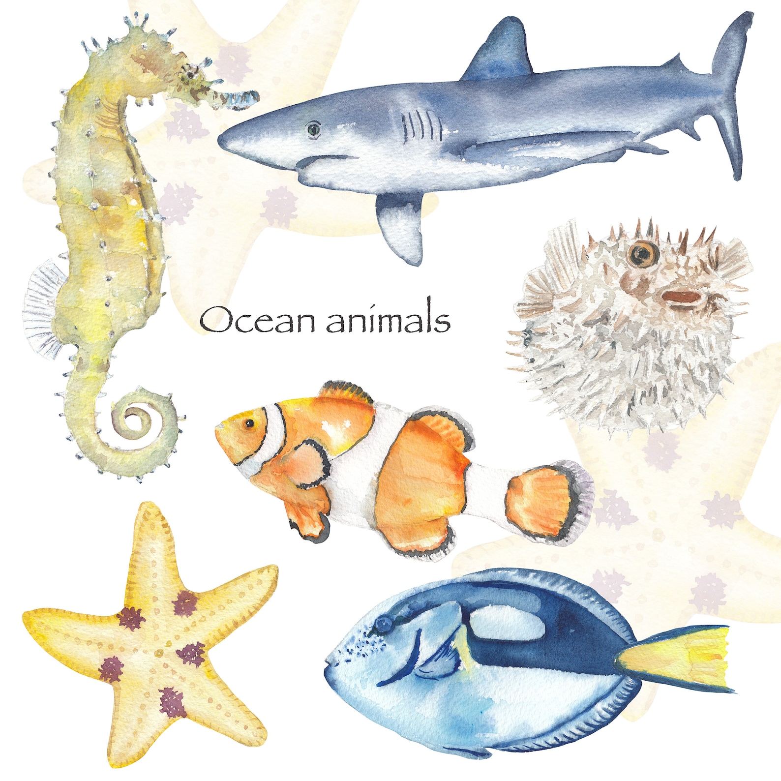 Watercolor Sea Animals Clipart Ocean Creature Illustrations Sea Horse ...