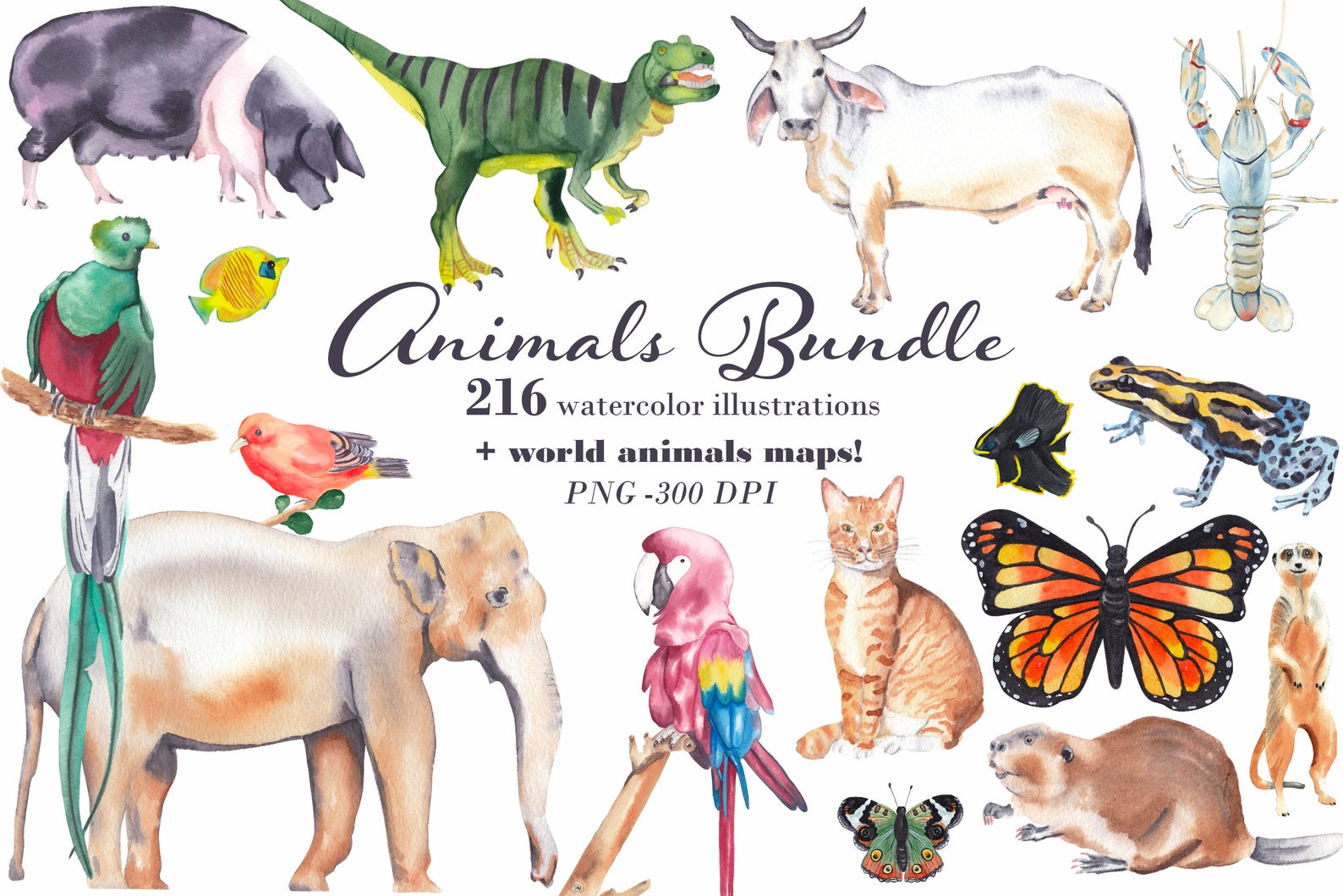 Watercolor Animals Bundle Nursery Animal Clipart Safari Jungle Woodland ...