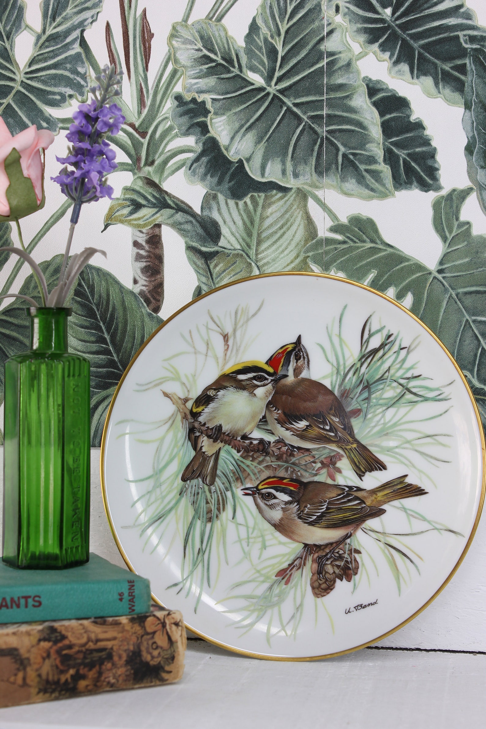Vintage Print Bird Plate Collectible Decorative Gallery Wall - Etsy