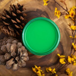 Dixie Belle Tree Frog Green Paint DIY Paint Mineral Chalk - Etsy