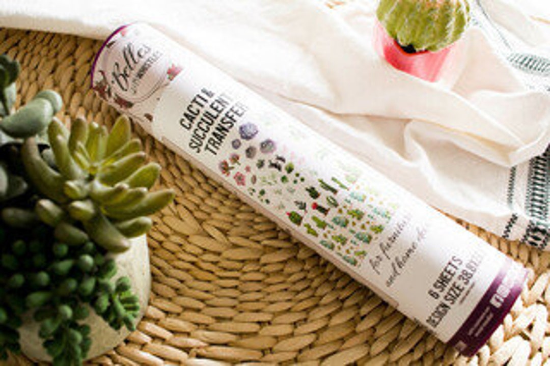 Cacti & Succulents Transfer, Rub on Transfer, Furniture Transfer ...