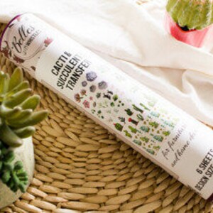 Cacti & Succulents Transfer, Rub on Transfer, Furniture Transfer ...