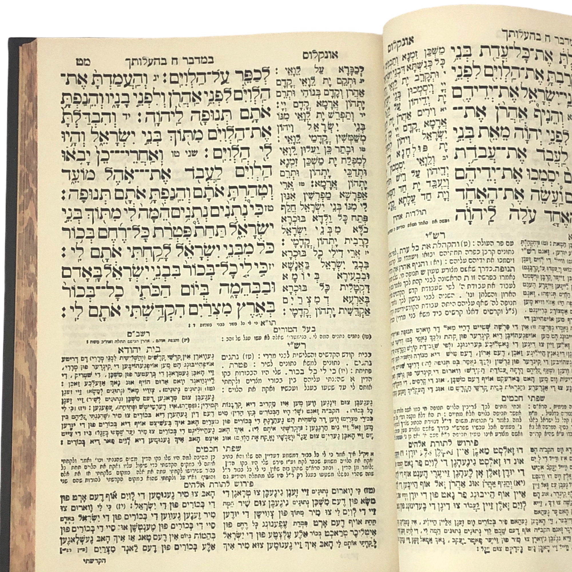 Hebrew Vintage Jewish Books Beit Yehuda Pentateuch Complete Bamidbar 5 ...
