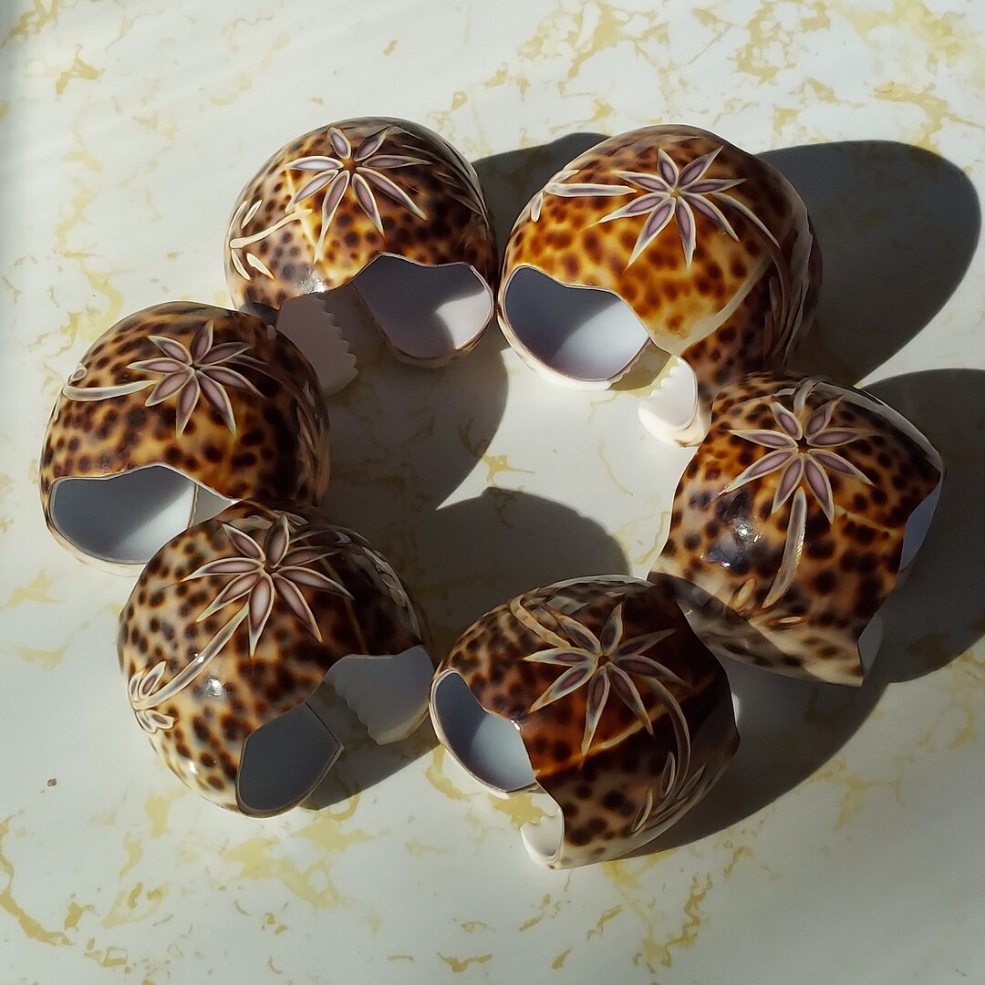 Vintage Hand Carved Floral Cowrie Shell Napkin Rings, Set of 6 Etched ...
