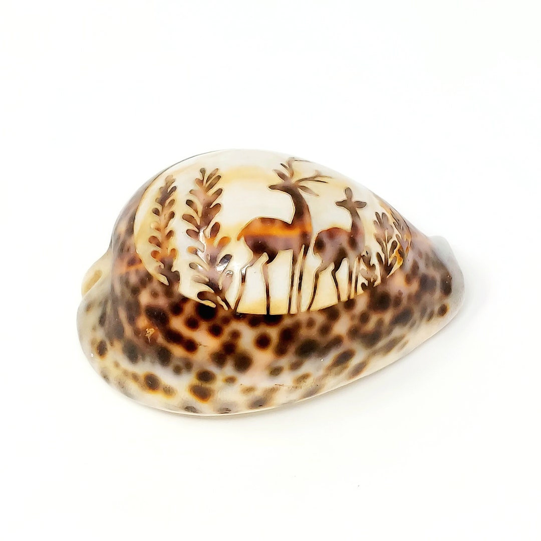 Vintage Hand Carved Woodland Deer Scene Cowrie Shell, Etched Cowry ...