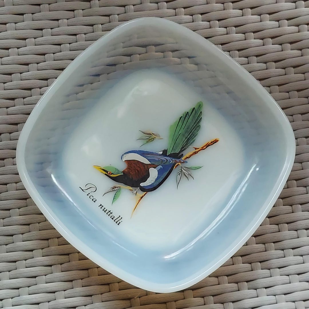 Vintage Opalex Glass Bowl: Pica Nuttalli Yellow Billed Magpie, Made in ...