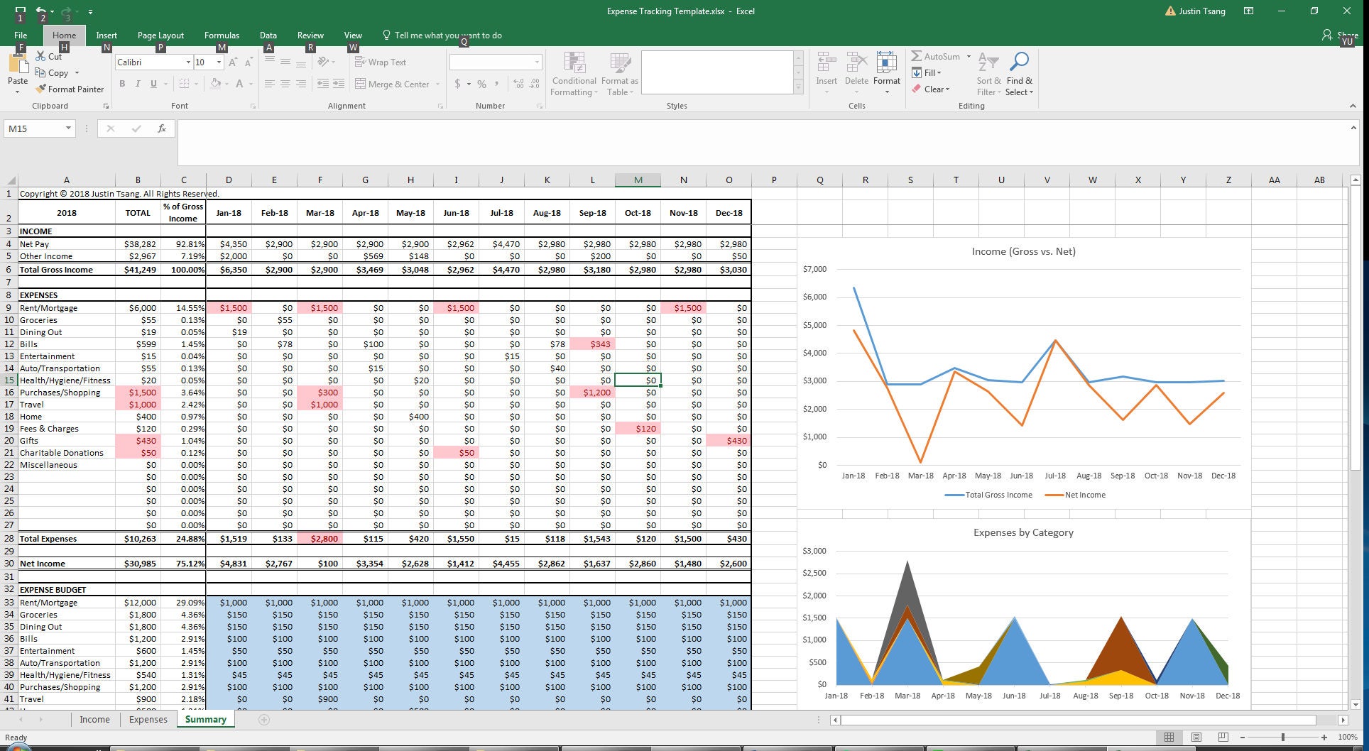 Income and Expense Tracking Template (with Summary and Graphs) - Etsy