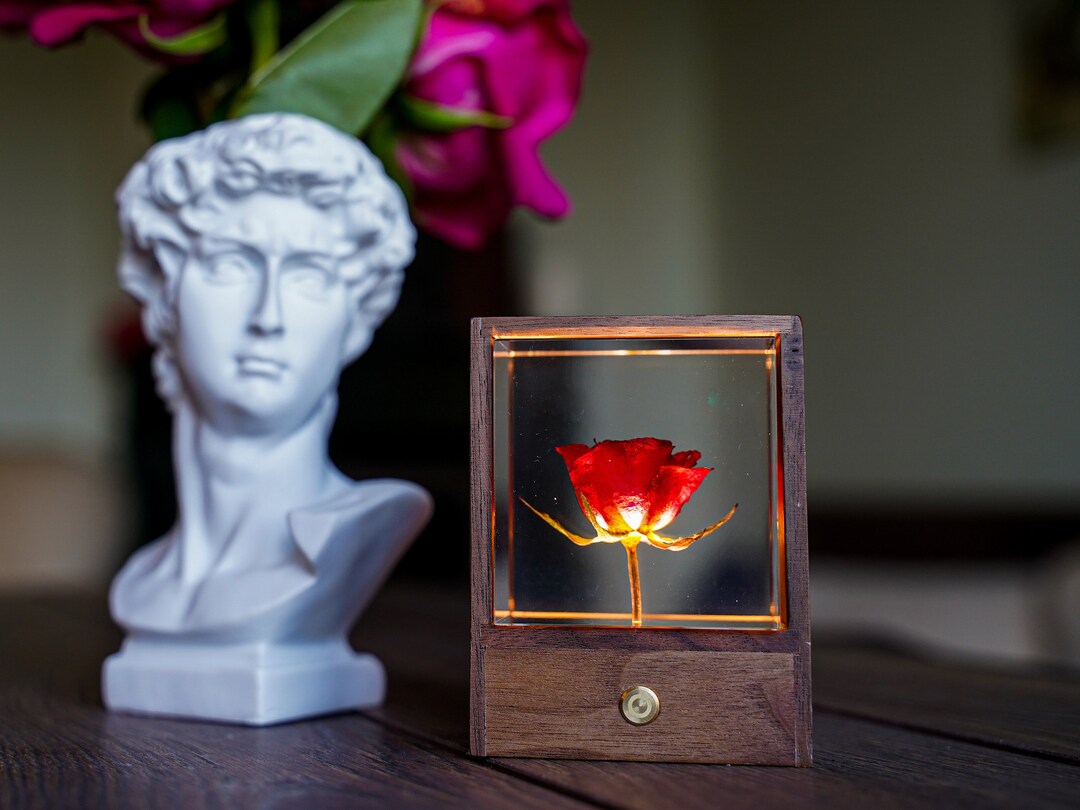 Rose Dandelion Resin Lamp Chargeable LED Night Lamp Space - Etsy