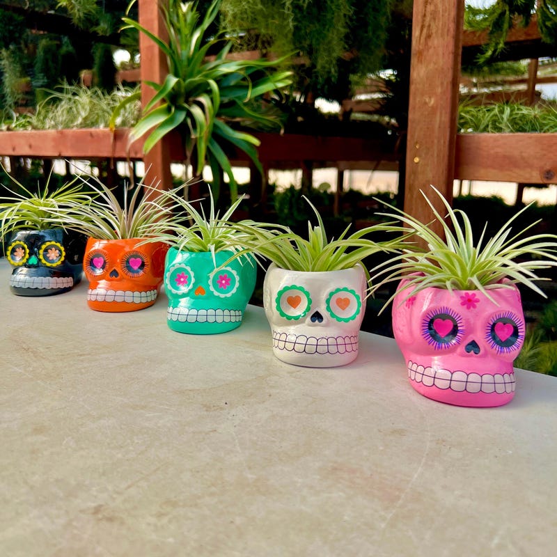 Skeleton Planter - Etsy