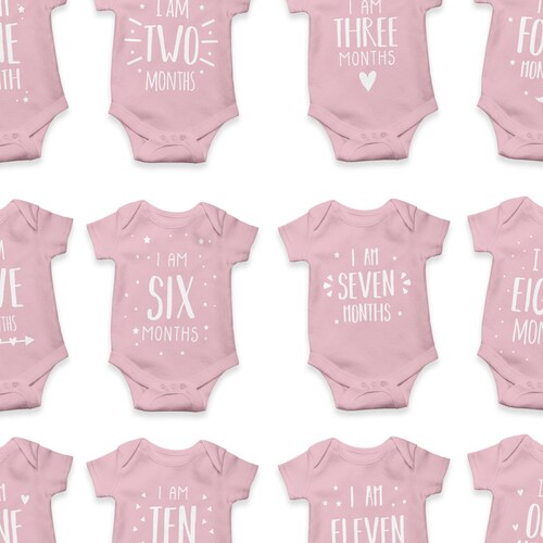 Acrylic Baby Monthly Milestone Set Painted Acrylic Baby - Etsy