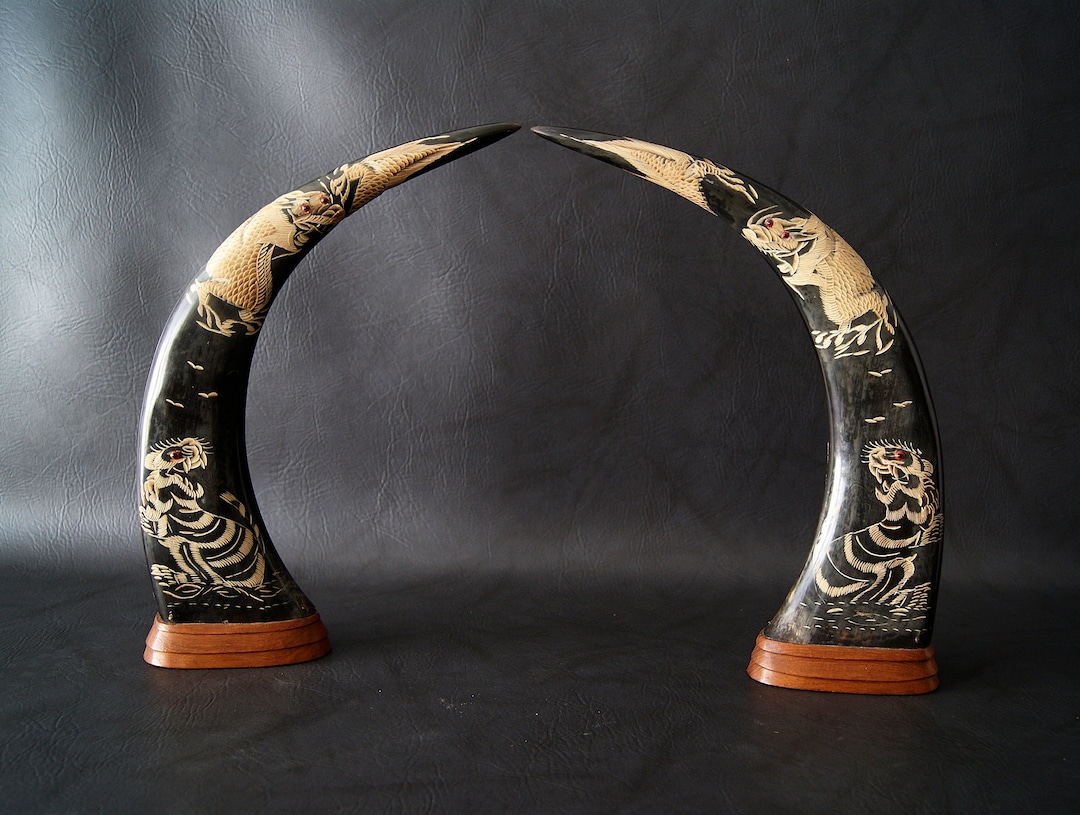 Decorative Horns With Asian Carved Pictures, Long Horns Buffalo Carved ...
