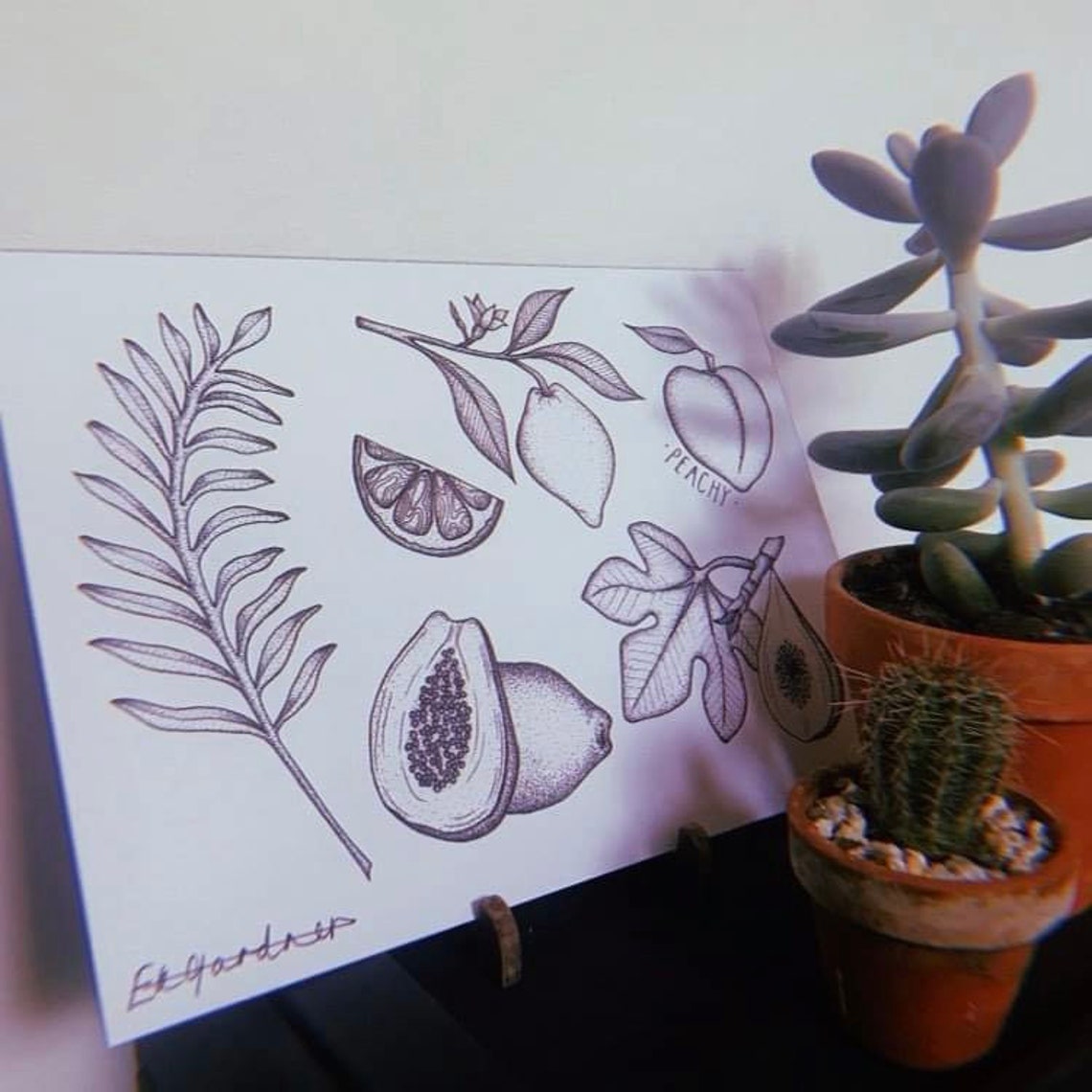 Botanical Fruit Flash Sheet Print A4 Dotwork Illustration Art Print ...
