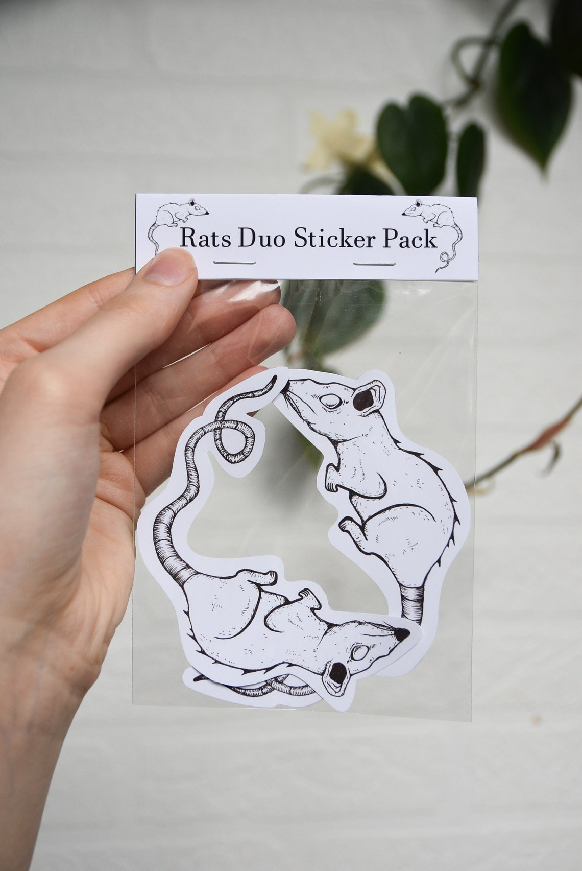 Rats Duo Sticker Pack - 2 Pieces - Etsy