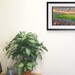 The Stoop Stadium Fine Art Print - Harlequins Rugby Union - Etsy UK